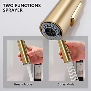 FROPO Gold Kitchen Faucet with Pull Down Sprayer - Modern Single Handle Pull Down Kitchen Sink Faucet with Deck Plate | Commercial Kitchen Faucet for 1 & 3 Hole Stainless Steel Brushed Gold