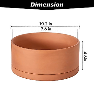 D'vine Dev 10 Inch Succulent Terracotta Shallow Pot with Drainage Hole and Saucer, Round Cylinder Planter Pot for Plant Flower, 40-B-L-10-1