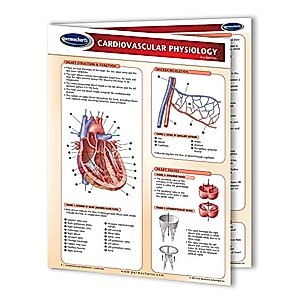 Cardiovascular Physiology - Biology - Medical Quick Reference Guide by Permacharts