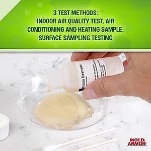 Mold Armor FG500 Do It Yourself Mold Test Kit , Gray