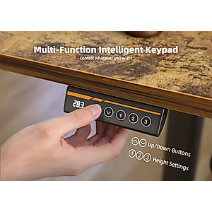 YDN Electric Standing Desk, Adjustable Height Stand up Desk, 48x24 Inches Sit Stand Home Office Desk with Splice Board,Rustic Brown Top