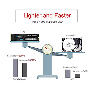 Dataram M.2 2280 256GB PCIe NVMe Gen 3.0 x4 SSD Compatible with Apple MacBook Air (2013-2017) & Pro (2013-2015), Mac Mini (2013) & Pro (2014), iMac (2013-2019)
