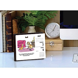 Cat Cartoon-A-Day by Jonny Hawkins 2021 Box Calendar