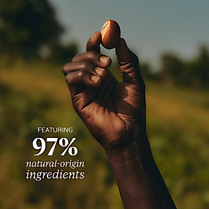 L'Occitane Shea Butter Hands & Body Verbena Extra-Gentle Moisturizing Lotion, 10.1 Fl Oz