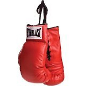 Everlast Leather Autograph Gloves