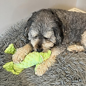 Ethical Pets 54093 Skinneeez Extreme Stuffing Free Dog Toy, 14", Frog, Green