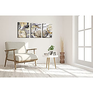 Gold Abstract Wall Art 3 Pieces Modern Framed Artwork Black and White Grey Gold Fluid Ink Annual Rings Pictures Canvas Prints Painting for Living Room Bedroom Kitchen and Office Wall Decor Home Decor