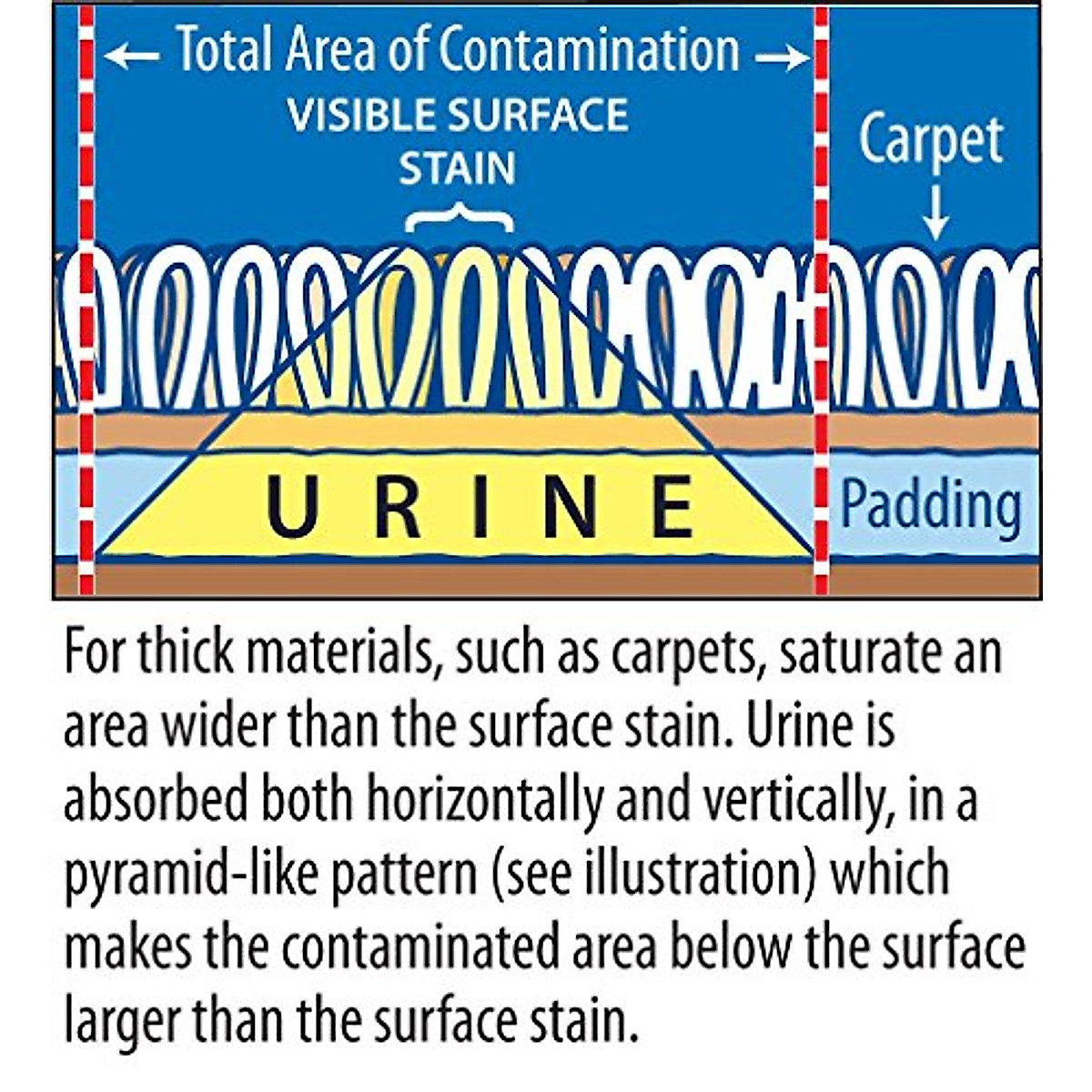 Stink Free Instantly Urine Odor Remover & Eliminator for Cat Urine, Oxidizer Based Urine Cleaner for Carpets, Rugs, Mattress, etc. 128 Oz (1 Gallon)