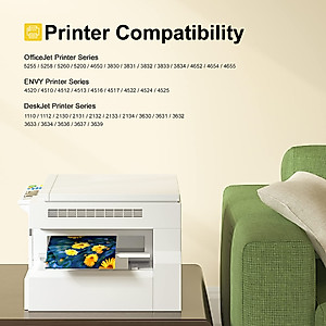 SHEENGO 63XL Black Ink Cartridge Replacement for HP 63 Works with DeskJet 1112, 2100 Series, 3600 Envy 4500 OfficeJet 3800 4600 5200 Series F6U62AN, 2 Pack