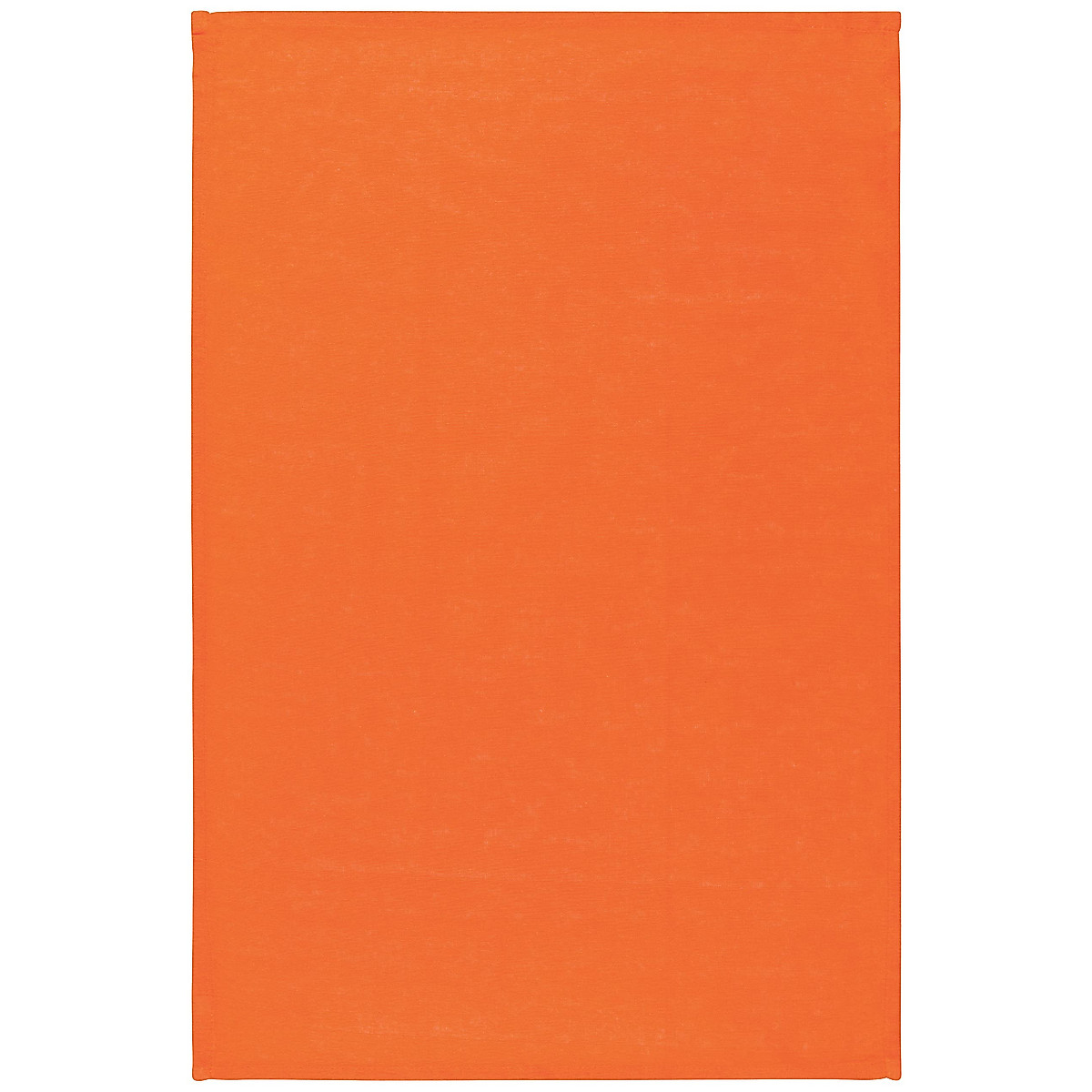 Now Designs Floursack Kitchen Dish Towels Blue, 20 x 30in, Set of 3, Bali Cactus Crush, 3 Count