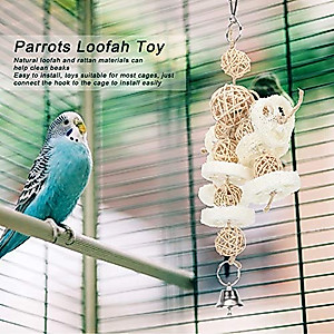 Rosvola Parrots Loofah Toy, Bird Rattan Ball String Firm for Play Toy for Large/Medium Size Parrots for Parrots Bite
