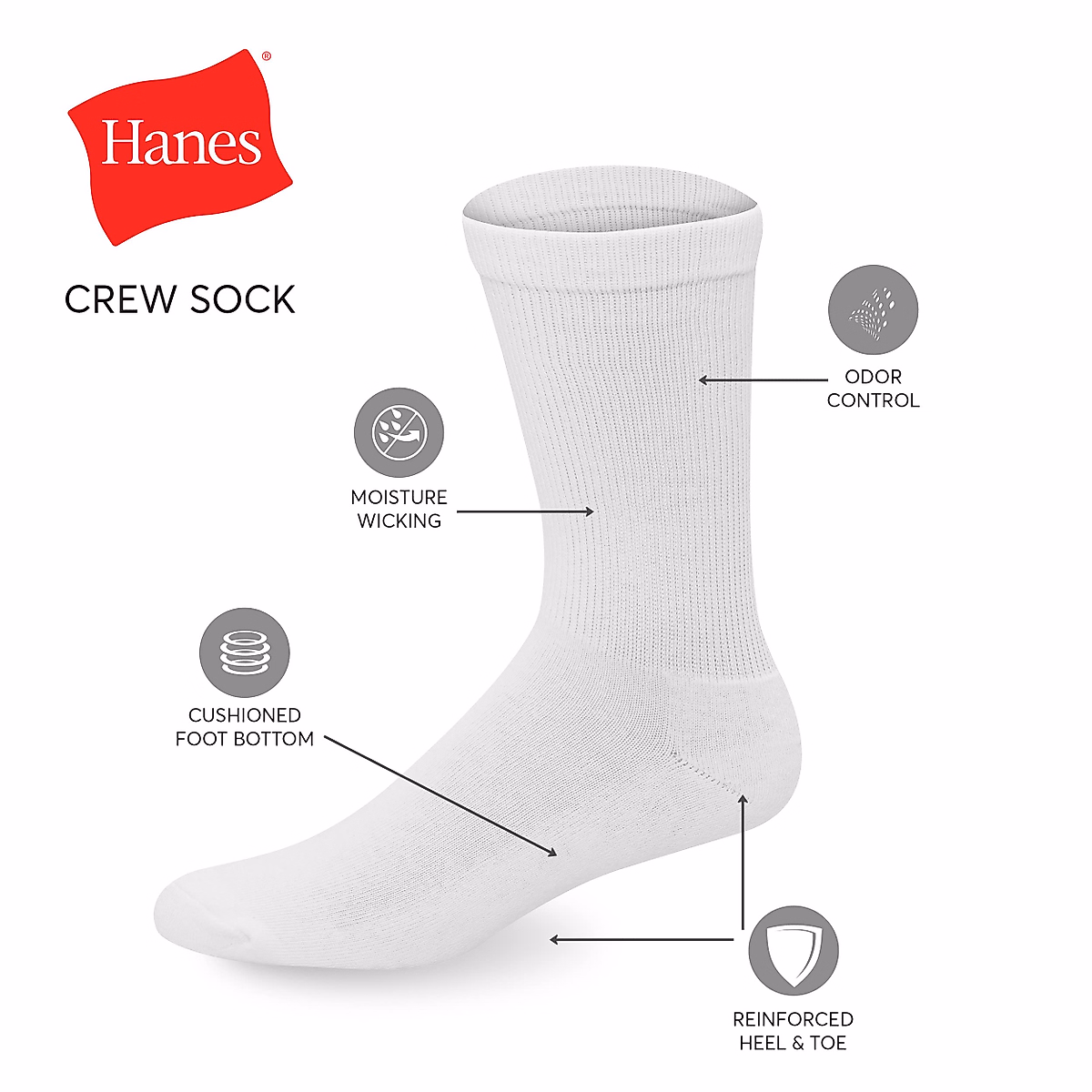 Hanes mens Hanes Men's X-temp Cushioned Crew (Pack of 12 Pairs) Casual Sock, White, 14 US