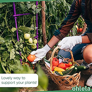 Large Tomato Cages for Garden - 6.5ft (Up to 80 Inches) Heavy Duty Tomato Cages for Vine, Vegetables, Fruits & Flowers with Adjustable Stake Arms - Tomato Stakes with 20Pcs Plant Clips