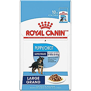 Royal Canin Large Puppy Wet Dog Food, 4.9 oz cans 10-count