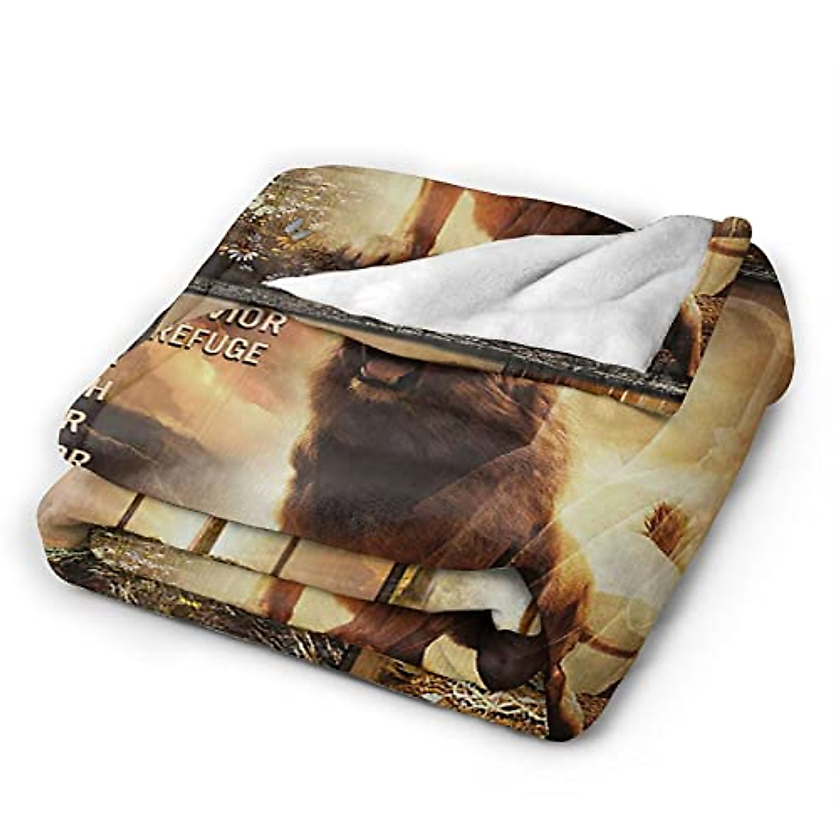 Christian Blanket for Men Christ Lion Jesus Religious Faith Throw Blanket Soft Cozy Warm Fuzzy Fleece Christian Bedroom Decor Blanket Gifts for Men Women Couch Sofa Bed 50"X40"