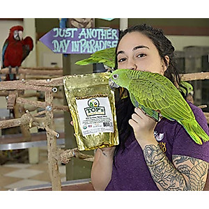 TOP's All in One Seed Mix for Large Birds, Non-GMO, Peanut Soy & Corn Free, USDA Organic Certified, 1lb