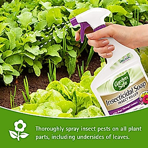 Garden Safe Brand Insecticidal Soap Insect Killer 24 Ounces, Ready-To-Use, For Organic Gardening, 2 Pack