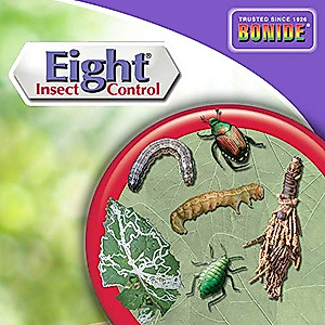 Bonide Eight Insect Control Vegetable, Fruit & Flower, 16 oz Concentrate Long Lasting Insecticide for Beetles and More