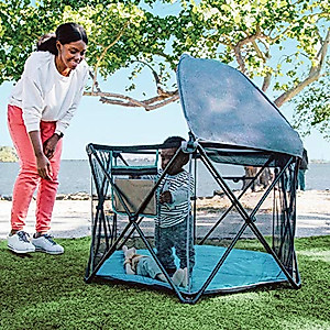 Evenflo Play-Away Portable Playard (Cedar Grove)