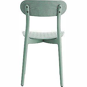 ISL Furnishings- Zuho Modern Indoor Outdoor Chair (2, Smoked Green)