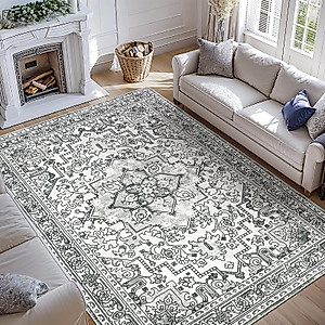 Shilucheng 8x10 Area Rugs for Living Room,Low-Pile Rug with Non Slip,Floor Carpet Pet Friendly,Machine Washable Rug Clearance for Bedroom Dining Room (Grey)