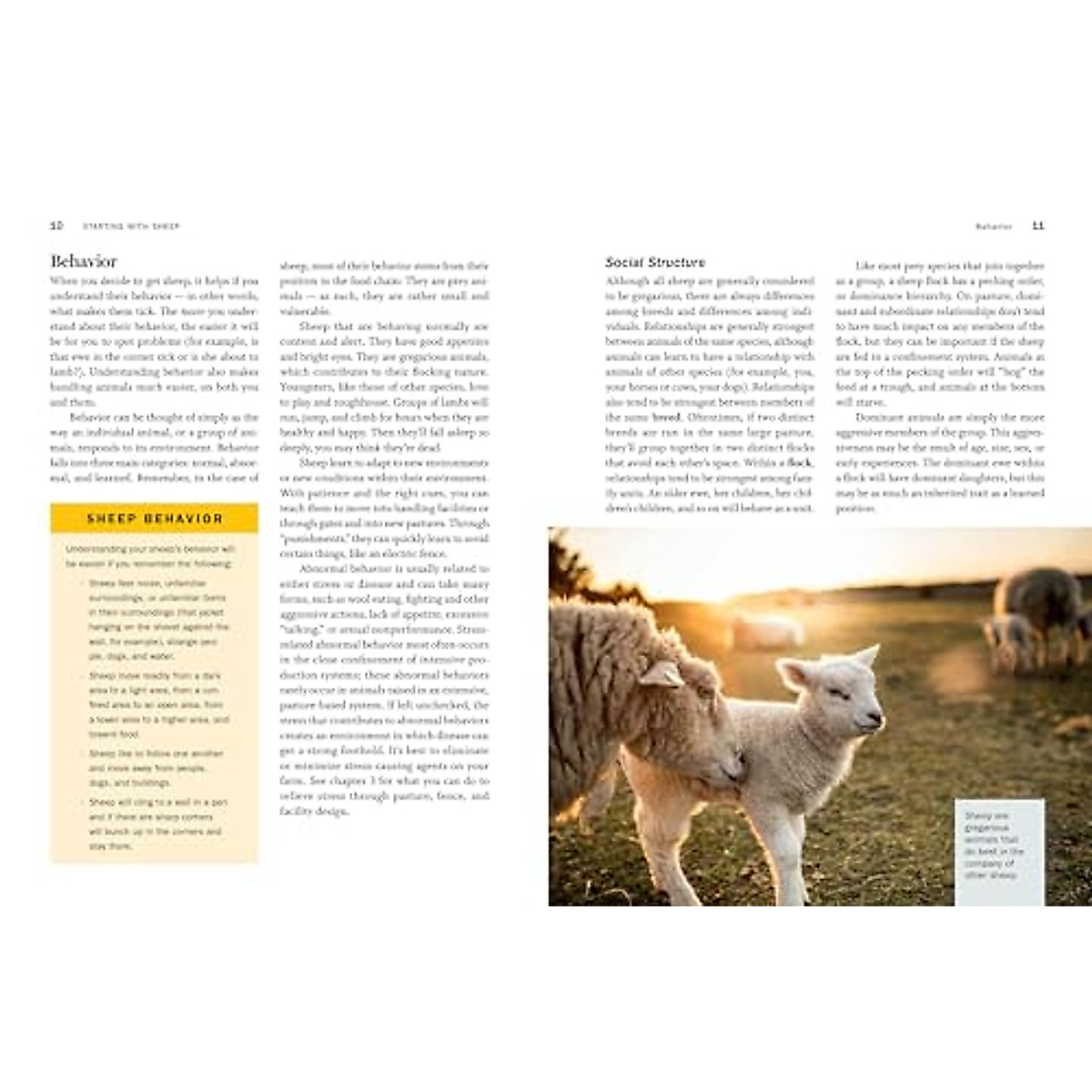Storey's Guide to Raising Sheep, 5th Edition: Breeding, Care, Facilities