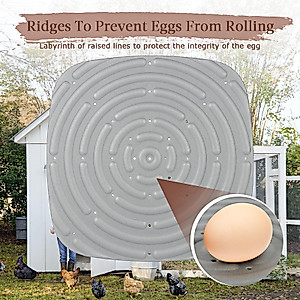 HUIJUTCHEN Nesting Box Pads for Chickens, Washable 4 Pack Chicken Nesting Box Pads for Laying Eggs, Sponge Nesting Pads for Chicken Coop, Chicken Bedding for Coop Nesting Box, Grey