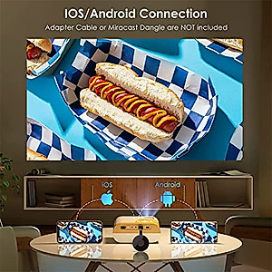 WENLII P64 LED Projector Mini Projector for Smartphone, Or USB Video Beamer