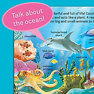 Peek-a-Flap Ocean Children's Lift-a-Flap Board Book for Children Learning about the Sea and Water Animals, Ages 2-5