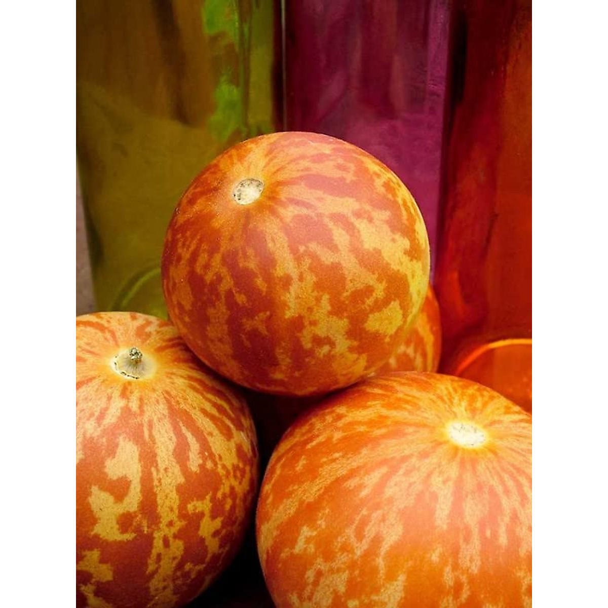 50 Tigger Melon Seeds Ornament Garden Planting Can Grow in Pot