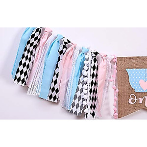 1st Birthday Banner for Alice in Onederland - Scrappy Banner, Alice in Wonderland Fabric Garland, Highchair Banner, Photo Prop, Birthday Decor, First Birthday Party (Alice in ONEDERLAND)