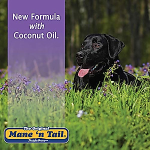 Mane 'n Tail New Ultimate Gloss Conditioner 32 Ounce