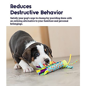 Petstages Cool Teething Stick