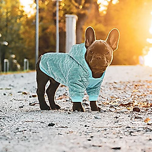 Yagamii Winter Dog Clothes Fleece Flannel Dog Hoodie Warm Dog Coat Jacket for Small Dogs Cats Puppy, Dog Sweater with Hat and Leash Hole Green Pet Clothes Cold Weather Dog Apparel