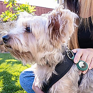 Apple AirTag Holder Keychain Apple AIR TAG NOT Included Air tag Case Waterproof Key Ring - Airtag Holder 4 Pack - Airtag Case - GPS Finder.