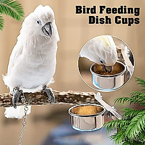 DYaprigo 3 Pack Stainless Steel Bird Feeding Dish Cups, Pet Cage Seed Feeder, Parrot Food Water Bowls with Clamp for Small Animal, Parrot Cockatiel Conure Budgies Parakeet, 3.9 Inch
