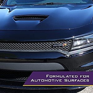 Auto Magic Poly Magic High-Gloss Polymer for Exterior Paint, Plastic & Chrome - 32 Fl Oz