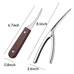 Aidragon Shrimp Deveiner Tool and Shrimp Peeler Set, 2 Pcs Stainless Steel Kitchen Tools for Shrimp Cleaner Peels Prawn Outer Shell Deveins