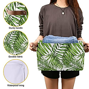 Large Foldable Storage Basket Palm Tree Exotic Tropical Plant Storage Bin Canvas Toys Box Fabric Decorative Collapsible Organizer Bag with Handles for Bedroom Home