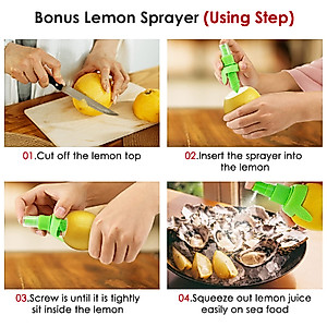 TRUSBER Oyster Shucking Knife, 304 Stainless Steel Oyster Shucker Knife with Oyster Shucking Glove, Non-Slip Handle Oyster Opener for Oyster Shucking