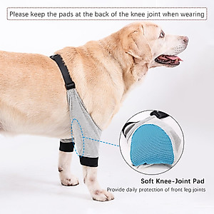 QUEBRAN Dog Elbow Protector for Calluses, Dog Recovery Sleeves for Front Legs, Dog Leg Joint Sleeve Protective Elbow Pads with Elastic Band, Dog Pants to Prevent Licking Wounds (Grey, Medium)