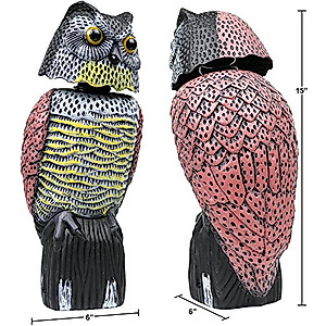 Galashield Owl Decoy to Scare Birds Away Scarecrow Fake Owl with Rotating Head