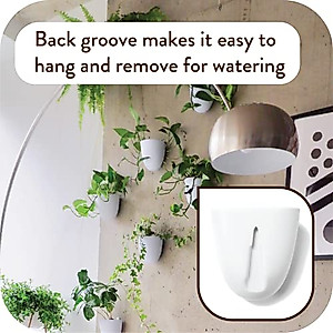 Make Good Virgo Wall Planters (Set of 3) - Easy to Water and Install - Lightweight - Design Your Own Vertical Garden - Melamine Plastic