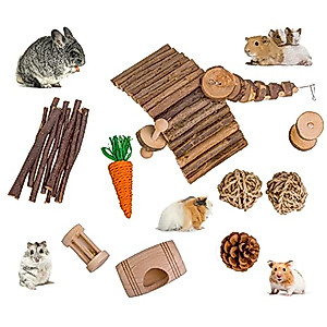 Neakomuki Hamster Toys 11 Pack Guinea Pig Toy for Teeth Care Natural Wooden Hamster Chew Toys and Accessories for Syrian Dwarf Hamster Squirrels Rats Chinchillas Parrots Gerbils Bunnies