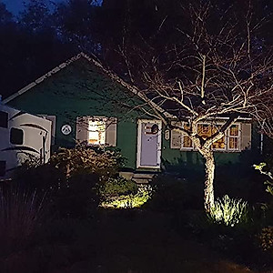 Youngine 12V Outdoor LED Lawn Light Lamps Landscape Spotlight 5W COB Garden Patio Wall Yard Path Decorative Lighting with Spiked Stand, Pack of 2 (Cool White),NO Plug