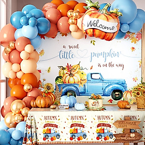 Little Pumpkin Baby Shower Decorations ,Boy Fall Pumpkin Balloon Garland Arch Kit with Dusty Blue Orange Blush Little Pumpkin is on the Way Backdrop for Thanksgiving Gender Reveal Birthday Decor