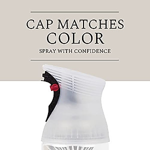 Rust-Oleum 302151-6PK Universal All Surface Clear Topcoat Spray, 11 oz, Dead Flat Clear, (Pack of 6)