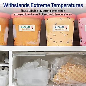 Avery Waterproof Address Labels with Sure Feed & TrueBlock 1" x 2-5/8", 1,500 White Laser Labels (5520)