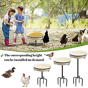 28In Freestanding Birdbaths Bowl Outdoor, Free Standing Garden Bird Bath Bird Feeder Bowl with Metal Stake, Detachable Decoration Spa Birdfeeder for Garden Patio Yard Lawn, 4 Spiky Feet (White)