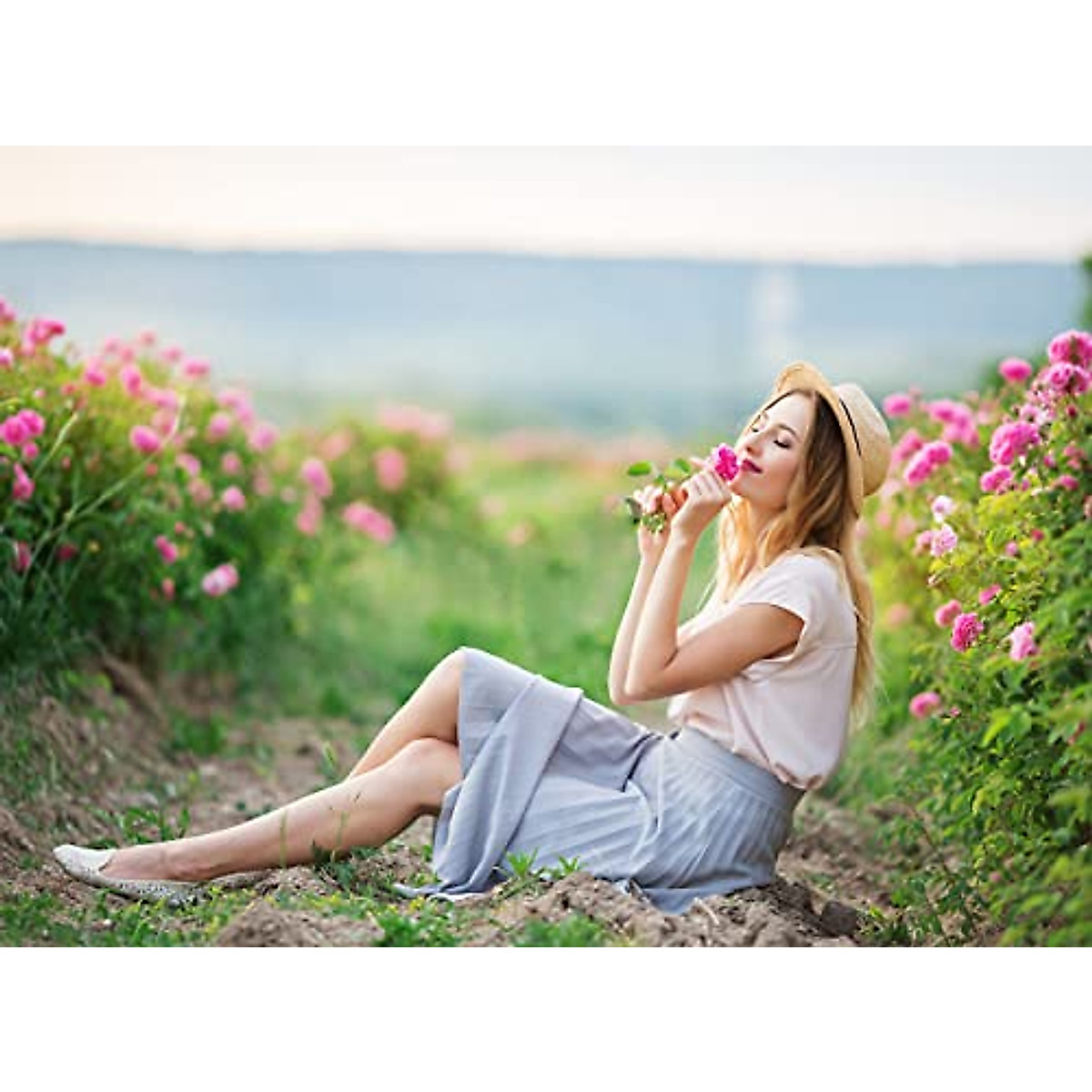 400+ Mixed Rose Seeds for Planting, Shrubs Perennial Bonsai Flower, Garden Yard Potted Decoration